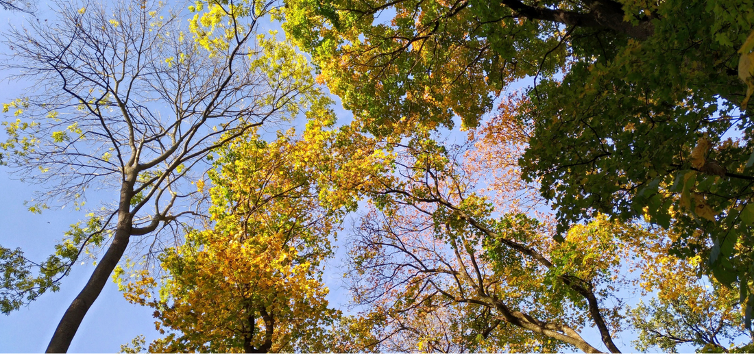 A humidifier will Improve your Indoor Air Quality – Desert Spring Products